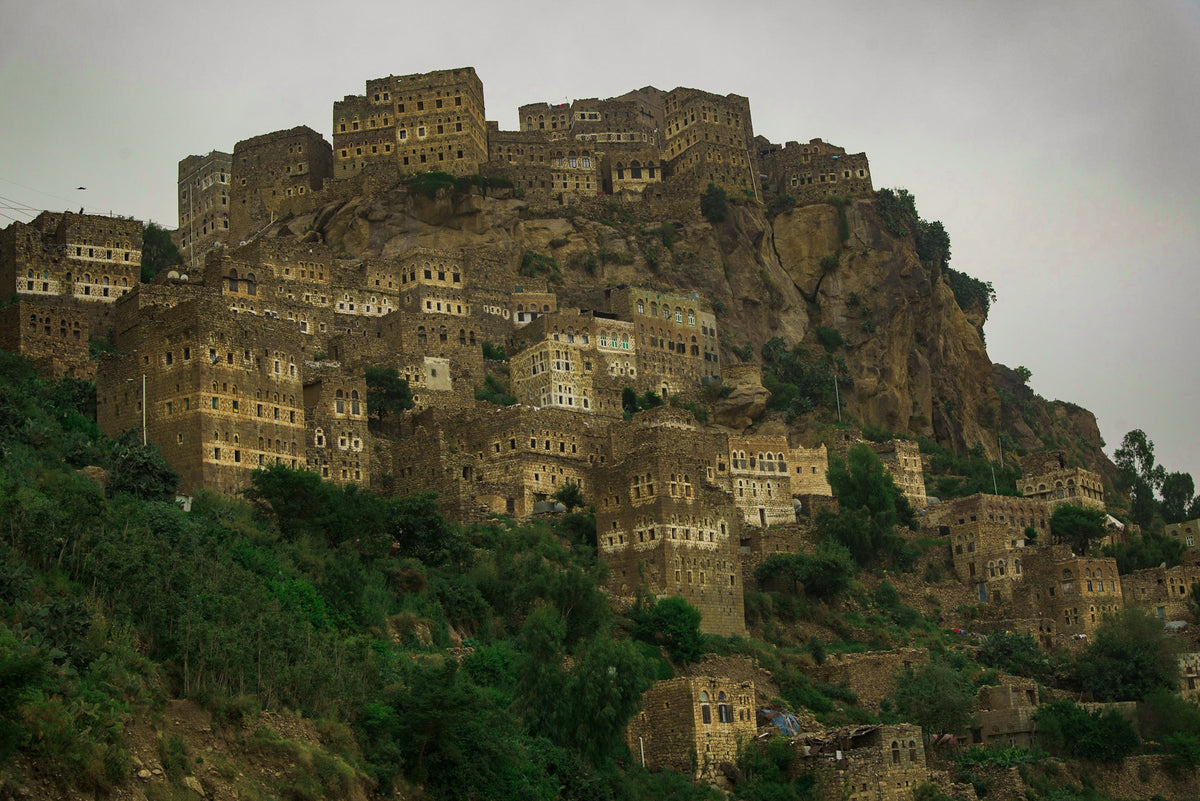 YEMEN HAYMA AA Anaerobic – Pirates of Coffee