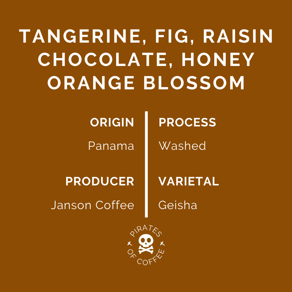 JANSON 940 GEISHA: Panama Washed – Pirates of Coffee